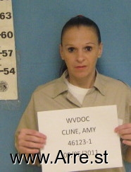 Query.Bz - What We Know About Who You Know - Amy Cline